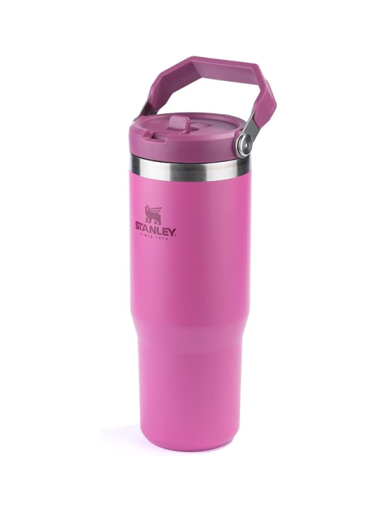 Stanley Colombia - Tienda Oficial de Termos, Neveras y Recipientes ...